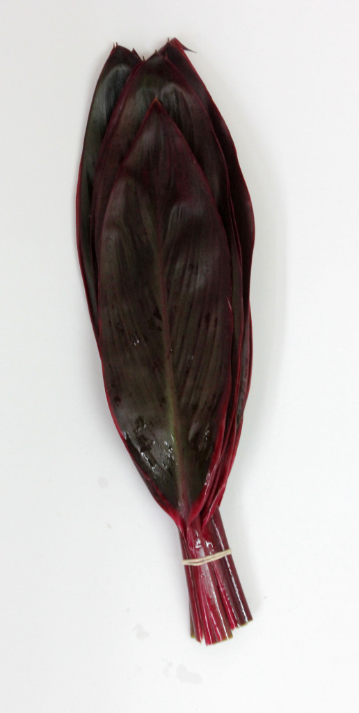 Ti Leaves | Stevens and Son Wholesale Florist