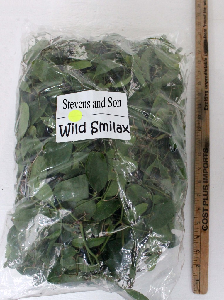 Smilax | Stevens and Son Wholesale Florist