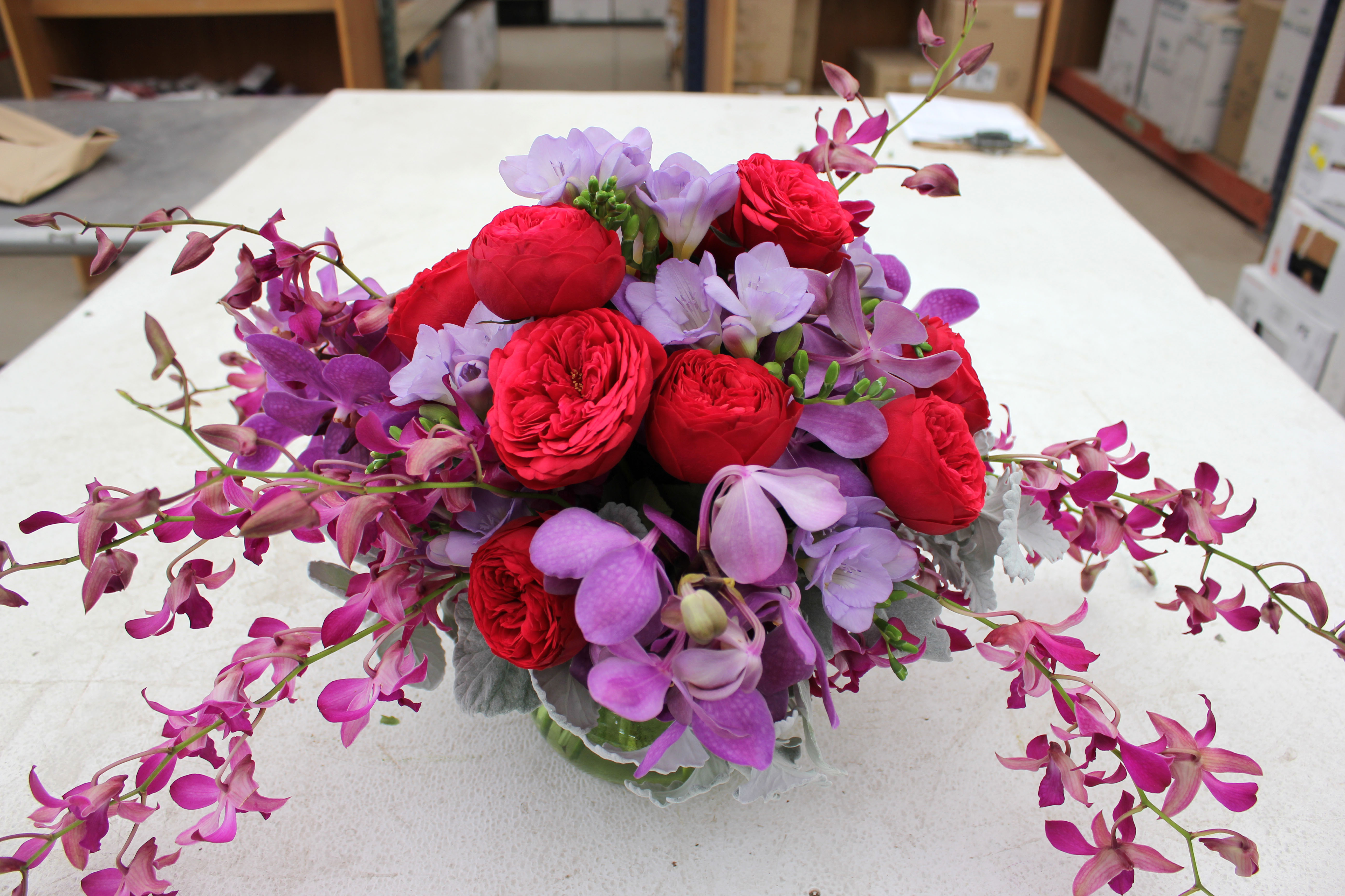 5″ Rosie Posie | Stevens and Son Wholesale Florist