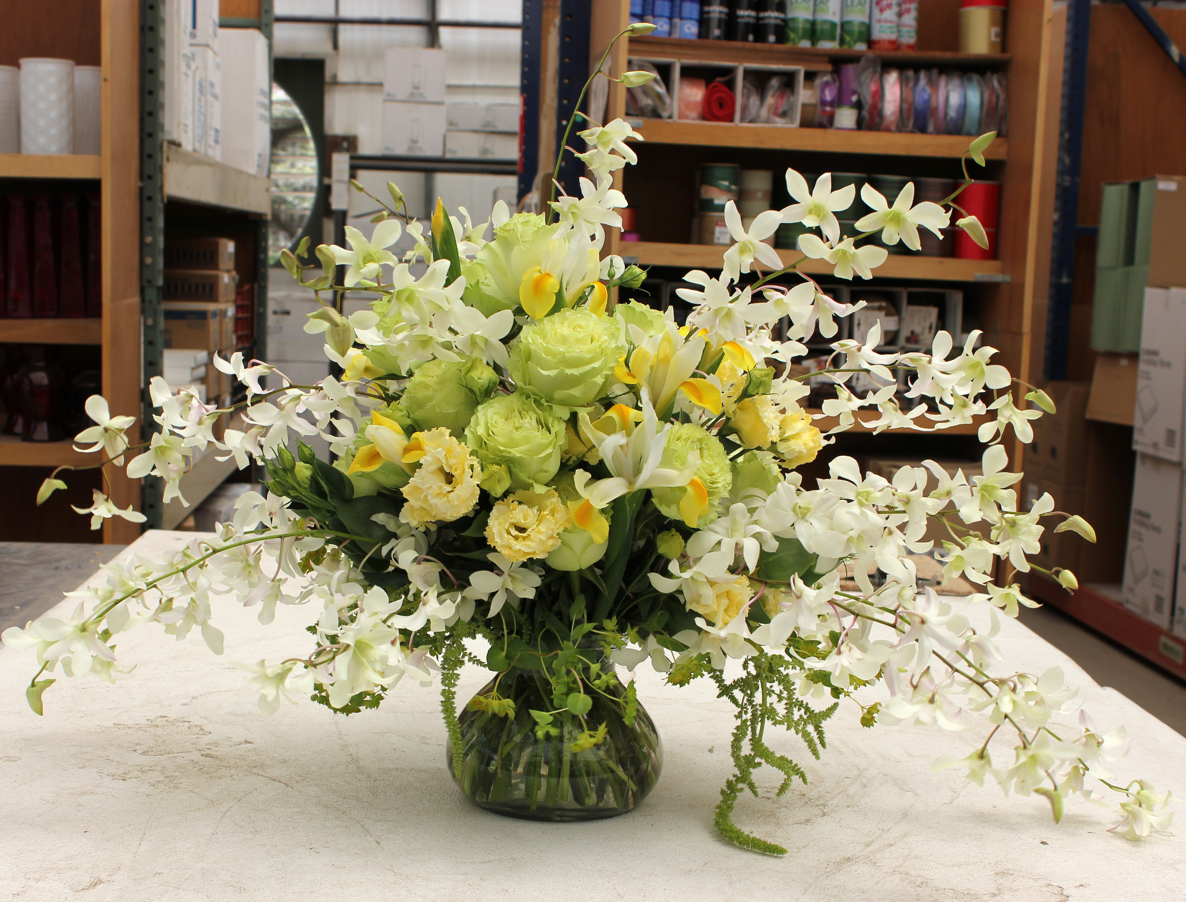 6″ Rosie Posie | Stevens and Son Wholesale Florist