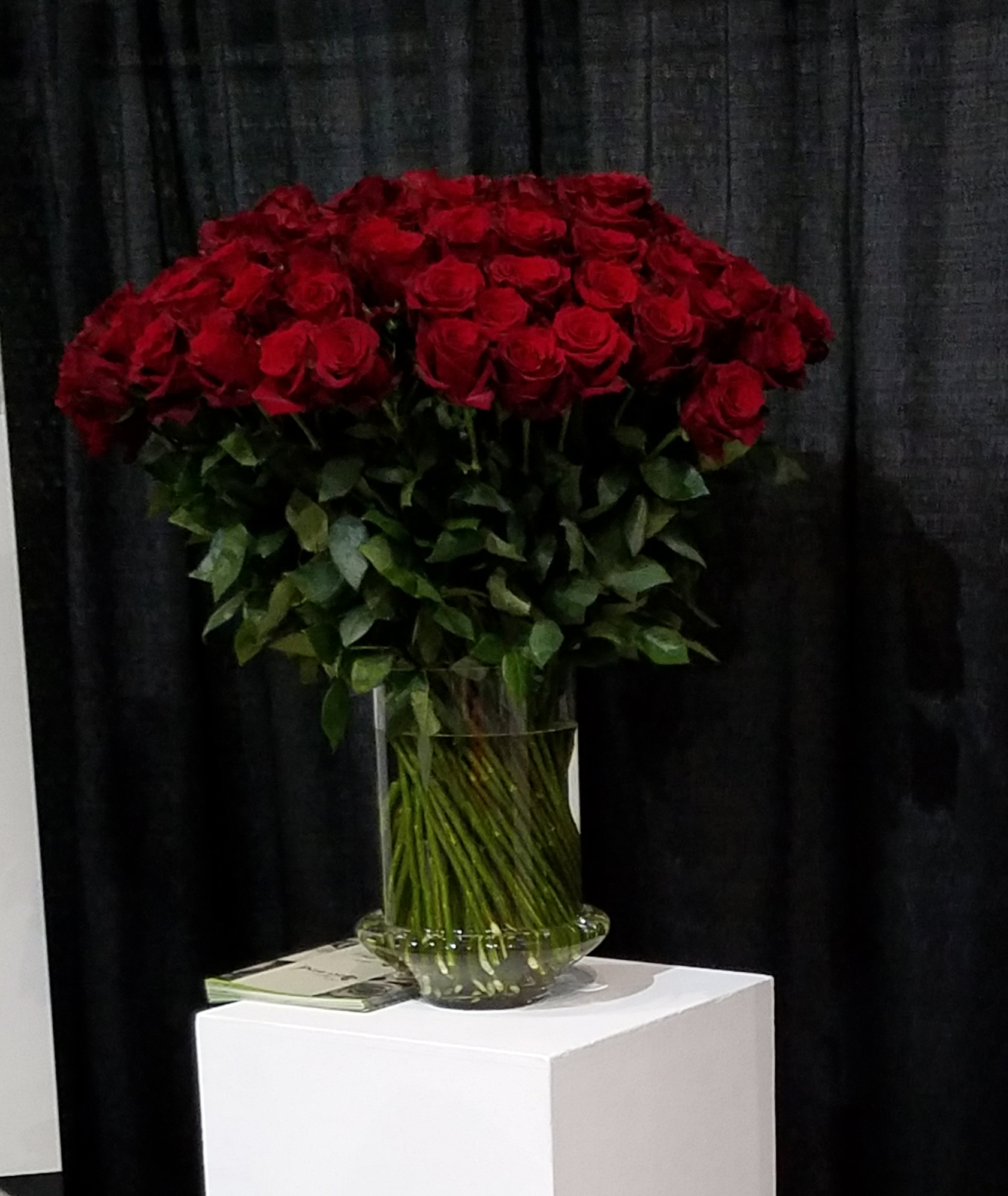 World Floral Expo 2017 | Stevens and Son Wholesale Florist