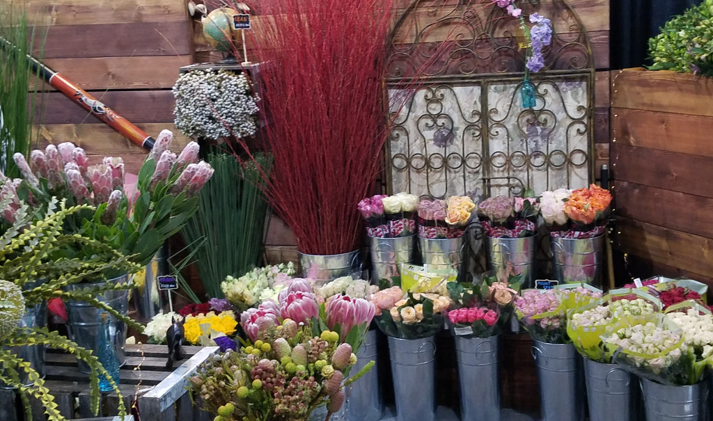 World Floral Expo 2017 | Stevens and Son Wholesale Florist