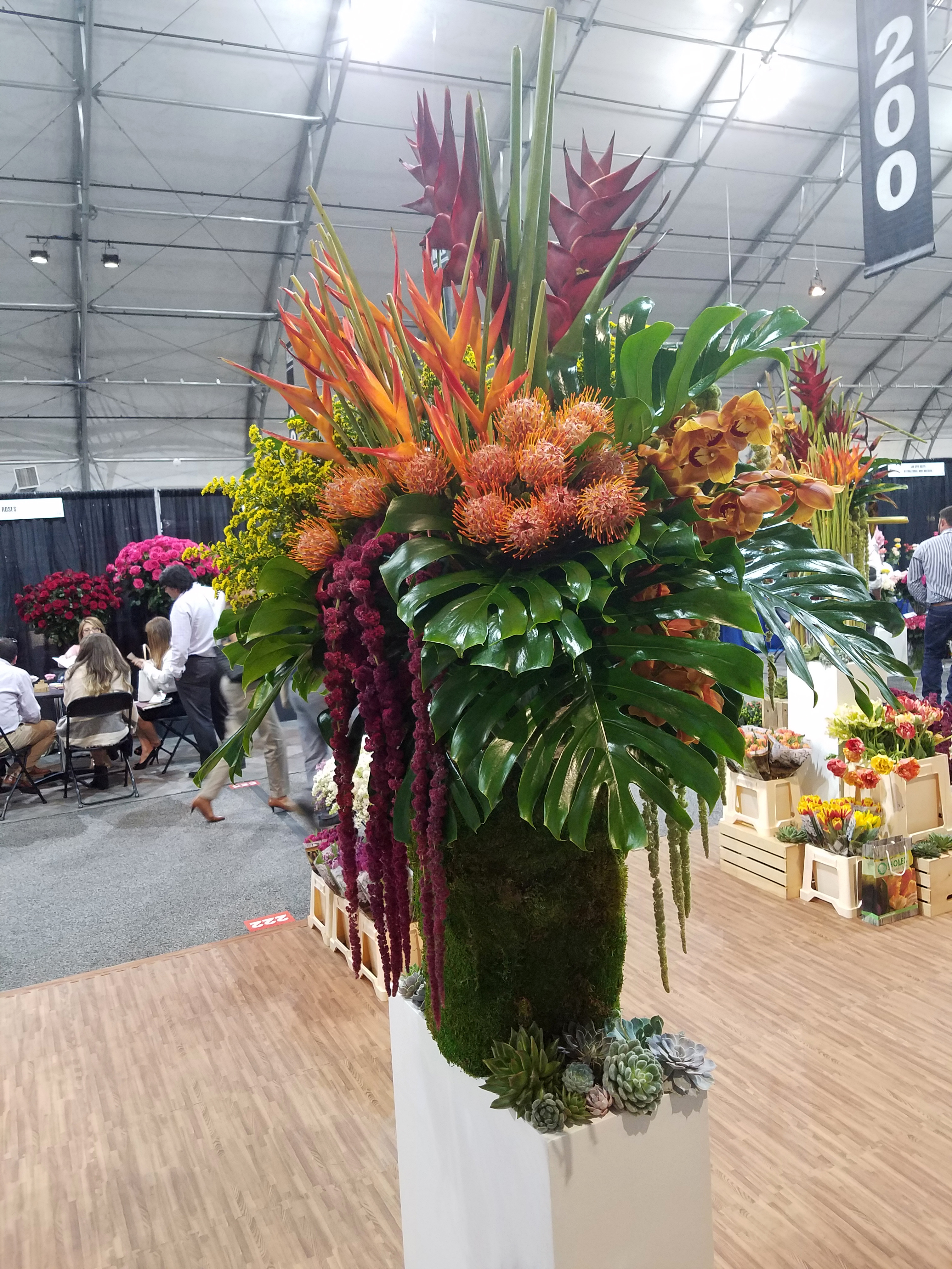 World Floral Expo 2017 | Stevens and Son Wholesale Florist