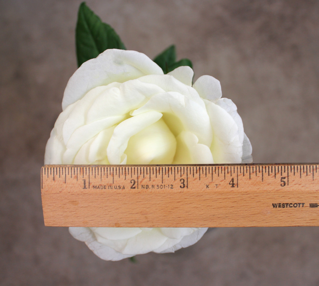 Norma Jean | Stevens and Son Wholesale Florist