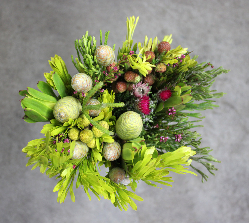 Cape Mix | Stevens and Son Wholesale Florist