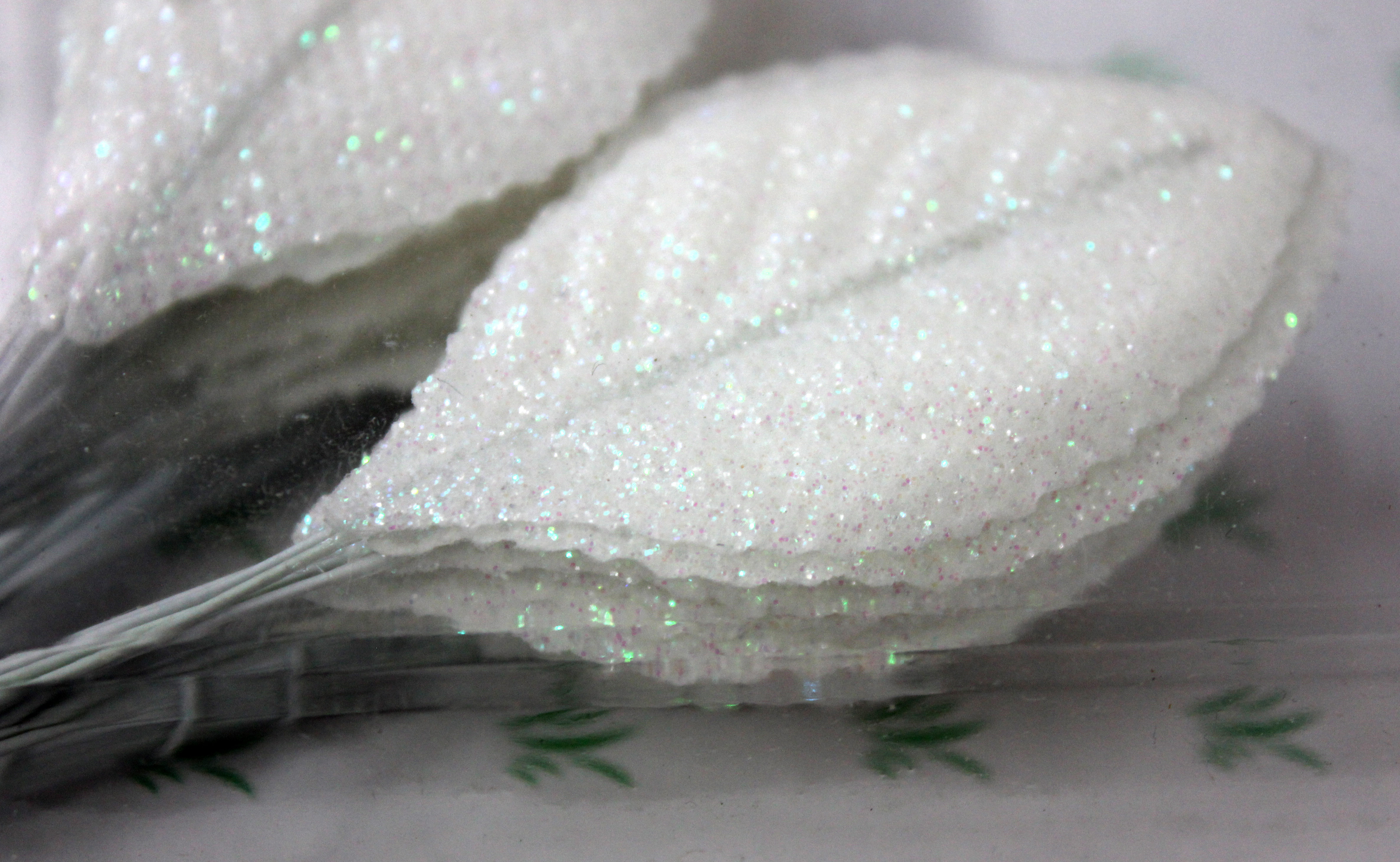 Prom | Stevens and Son Wholesale Florist