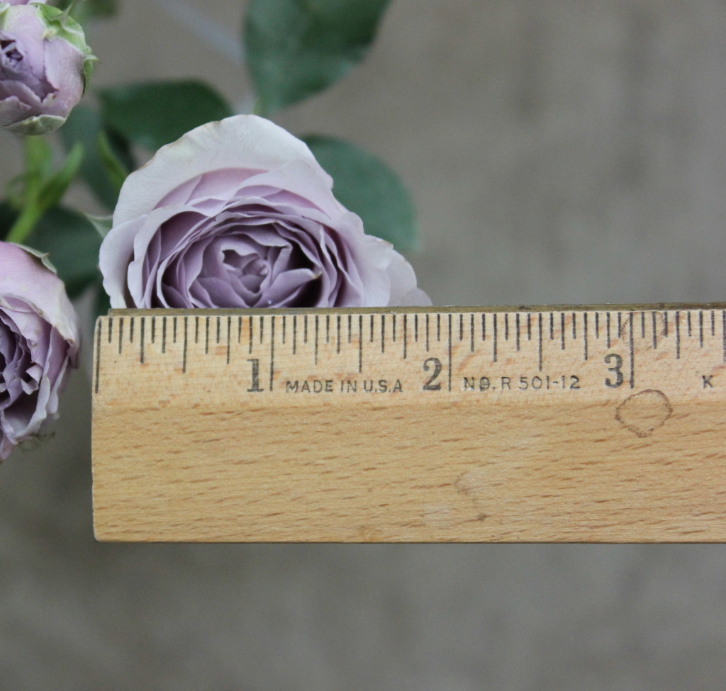 Silver Mikado | Stevens and Son Wholesale Florist