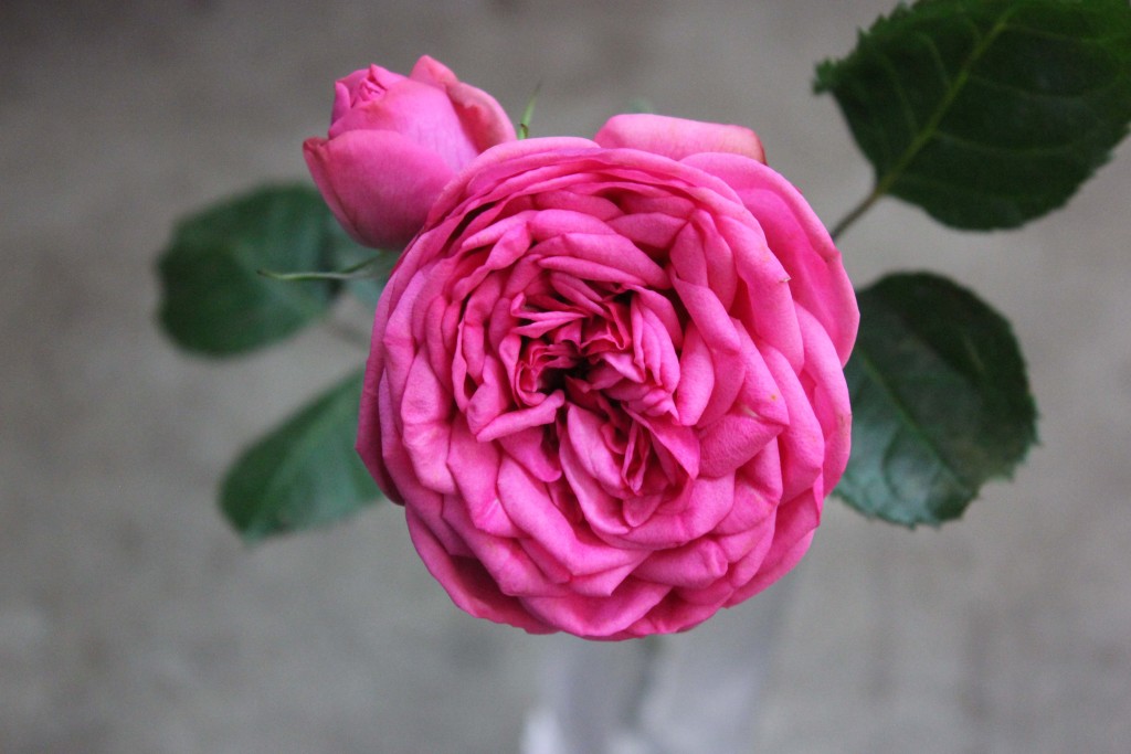 Pink Piano | Stevens and Son Wholesale Florist