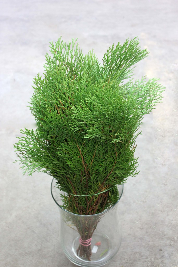 Arbavida | Stevens and Son Wholesale Florist