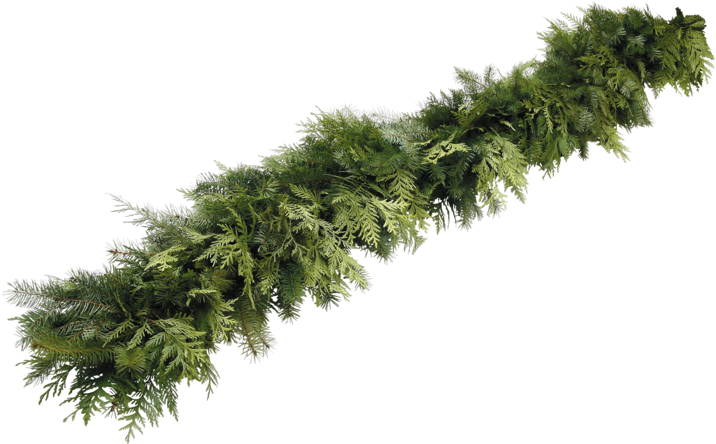 Holiday Greens | Stevens and Son Wholesale Florist